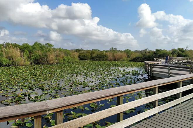 Everglades National Park — Florida