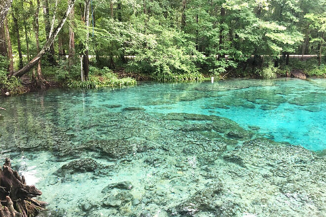Ginnie Springs Outdoors