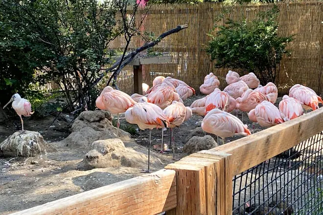 Idaho Falls Zoo