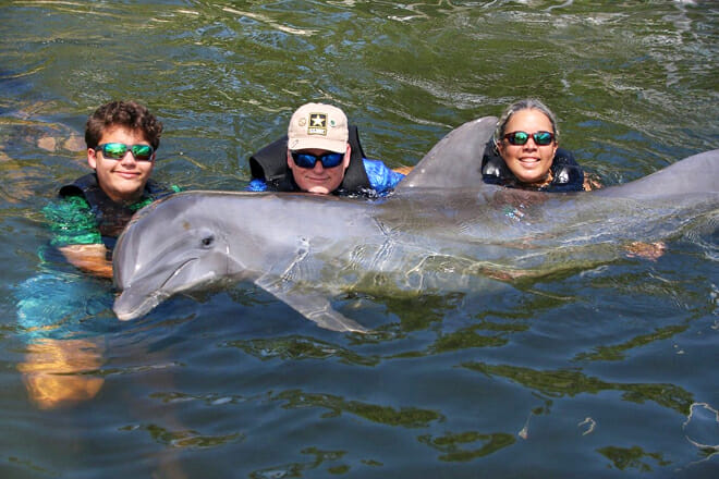 Island Dolphin Care
