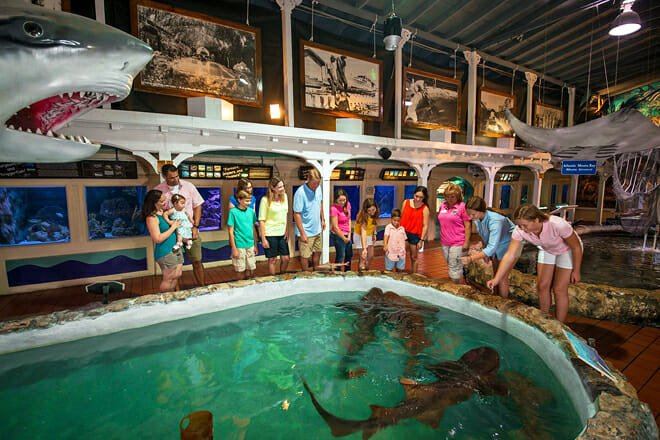 Key West Aquarium — Key West