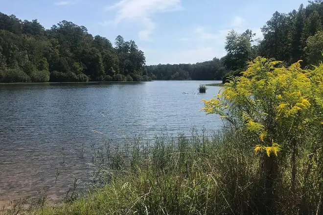 Lake Nicol