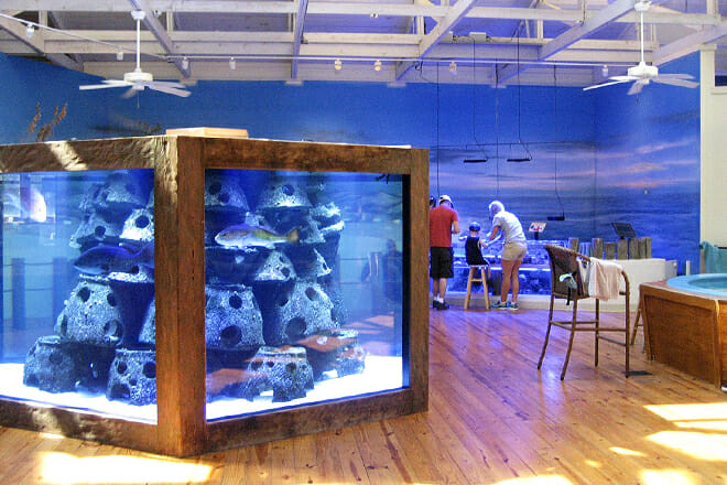 Marine Science Center — Ponce Inlet