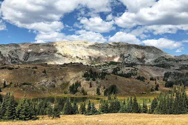 Medicine Bow-Routt National Forest