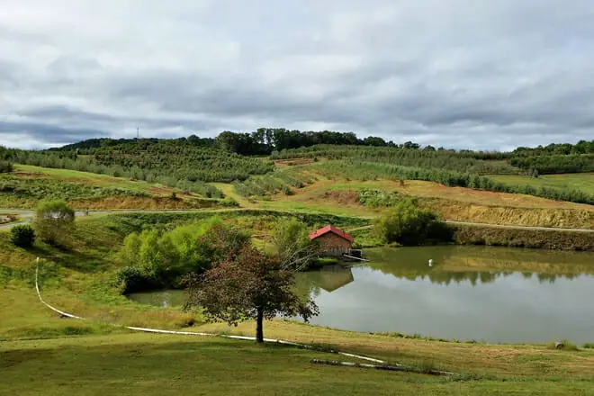 Mercier Orchards
