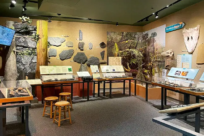 Museum of the Earth