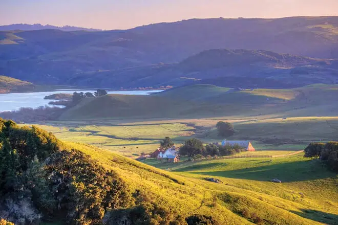 Nicasio