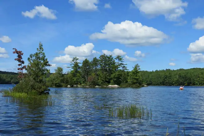 Pitcher Pond
