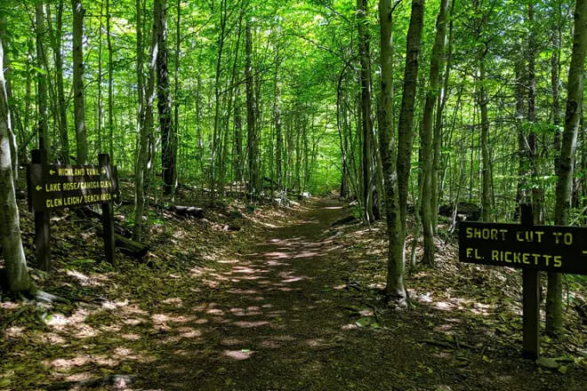 Ricketts Glen State Park