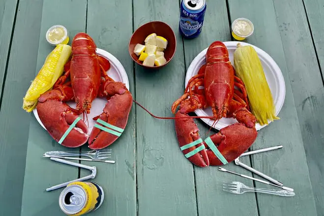 Rose Eden Lobster