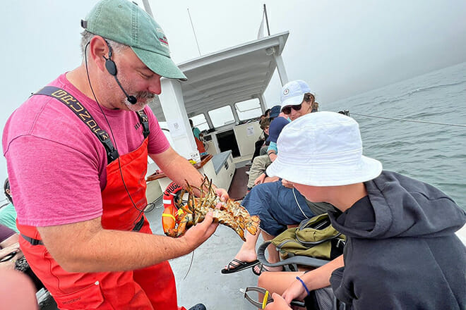 rugosa lobster tours