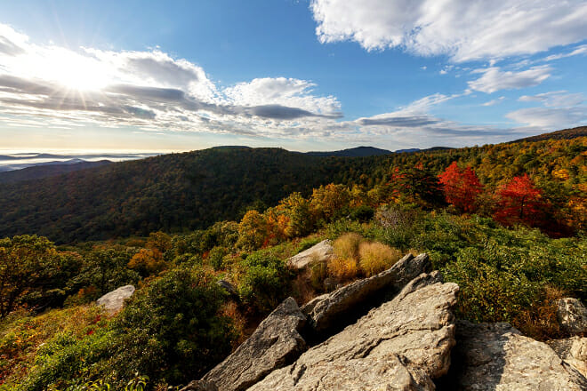 Shenandoah National Park — Virginia