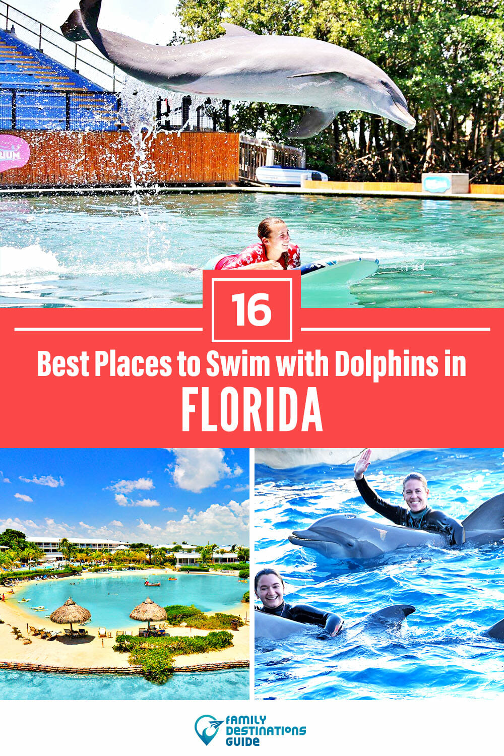 Swim with Dolphins in Florida: 16 Best Places!