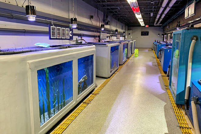 Woods Hole Science Aquarium