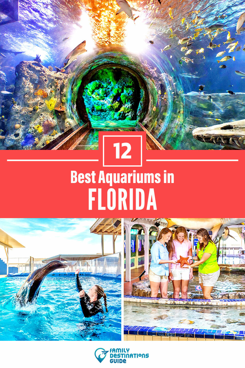 12 Best Aquariums in Florida - Indoor & Outdoor Fun!