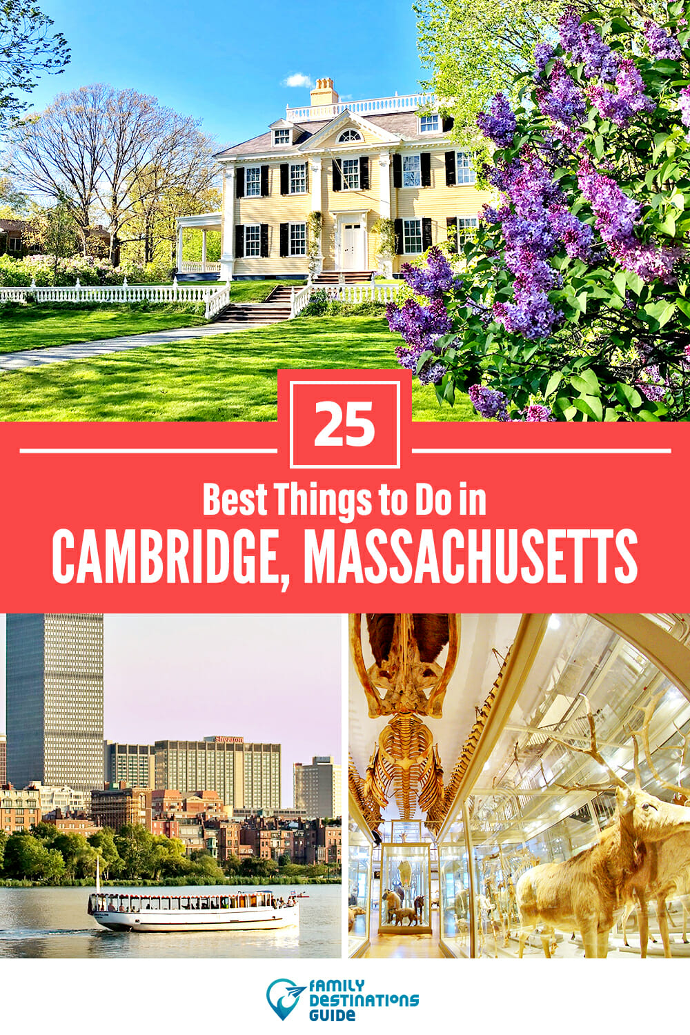 25 Best Things to Do in Cambridge, MA