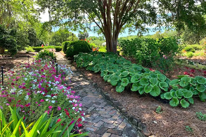 Boone Hall Plantation