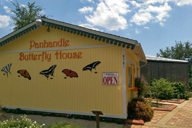 Panhandle Butterfly House