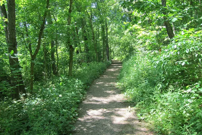 WVU Core Arboretum