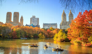 best things to do in central park travel photo
