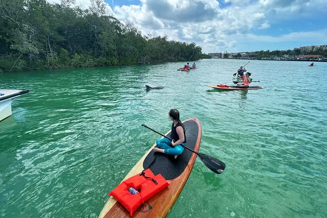 Dolphin and Manatee Adventure Tour