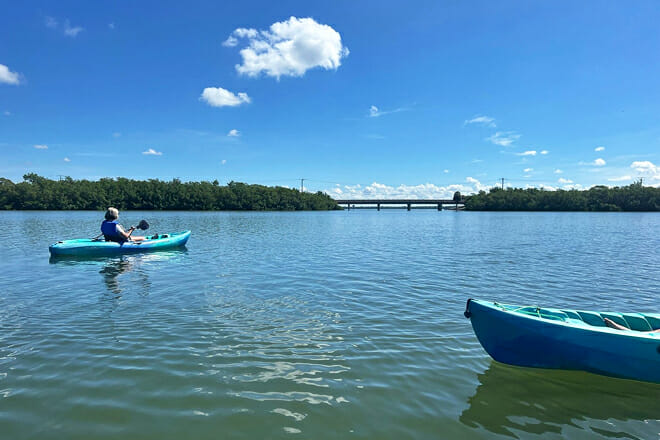 Lovers Key Guided Eco Tour-Mangrove Estuary