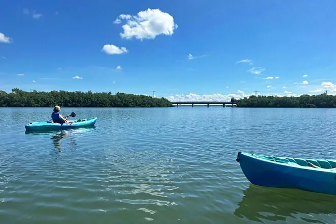 Lovers Key Guided Eco Tour-Mangrove Estuary