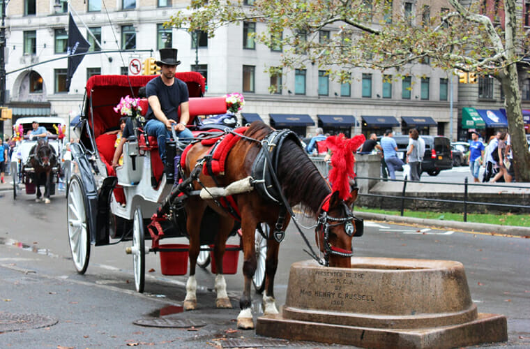 official nyc horse carriage rides in central park