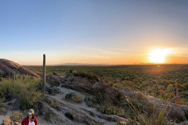 Saguaro National Park — Sonoran Desert