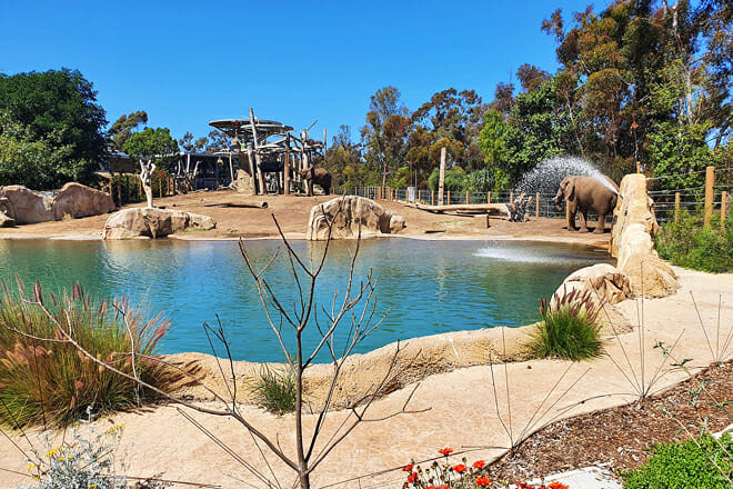 San Diego Zoo — San Diego