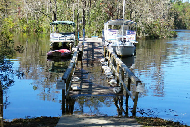 Waccamaw River Nature and Wildlife Tour — Myrtle Beach