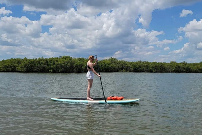 Dolphin and Manatee Stand Up Paddleboard Tour