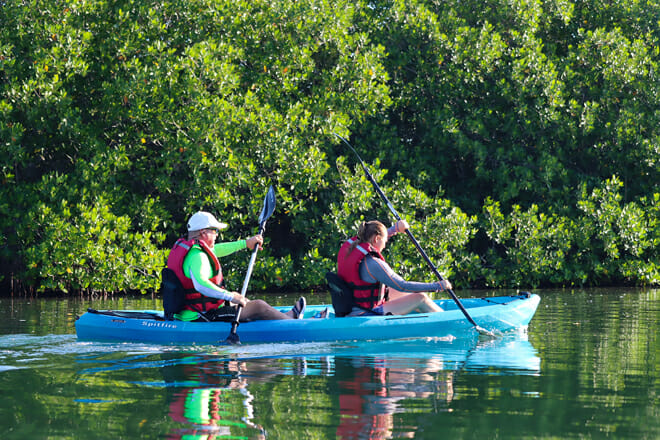 Sunset Kayak in the Mangroves