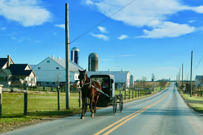 Amish Community