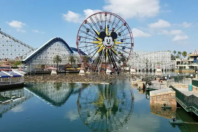 anaheim 6