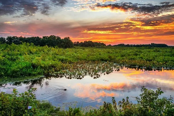 Bombay Hook National Wildlife Refuge
