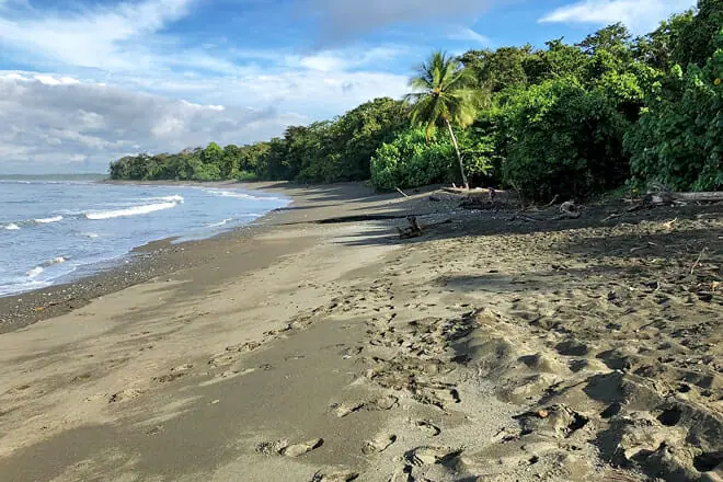 Corcovado National Park