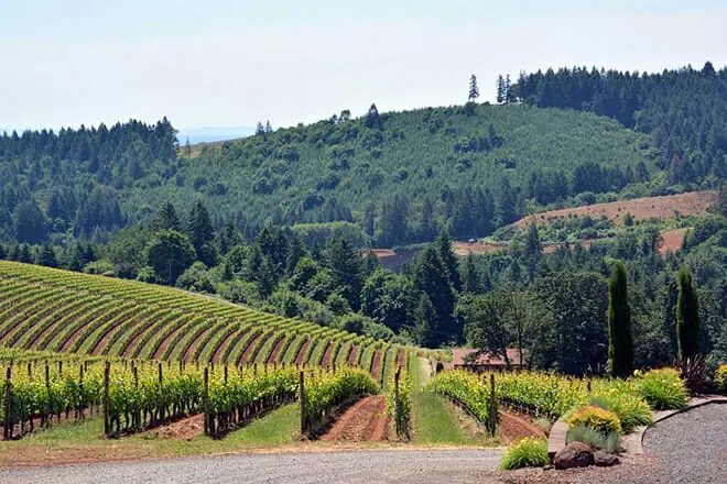 Hillsboro