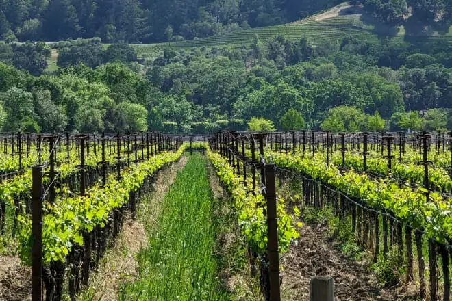 Napa Valley