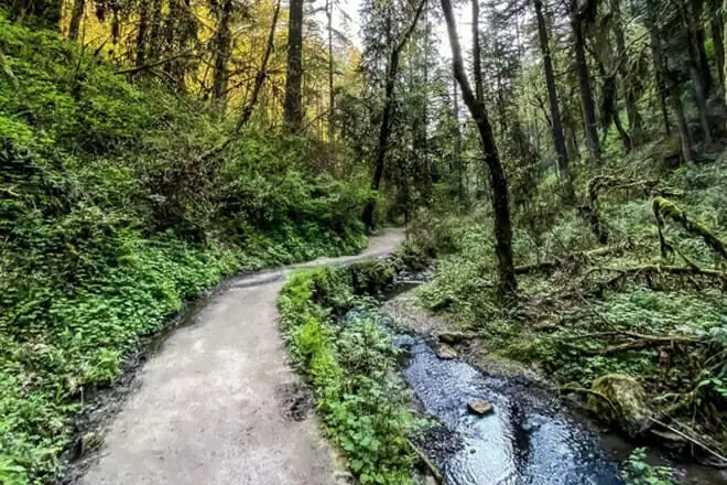 Outdoor Activities and Recreation