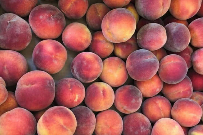 Palisade Peaches
