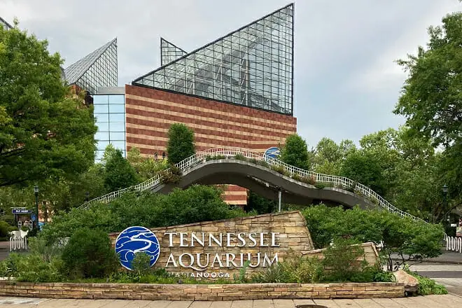 Tennessee Aquarium