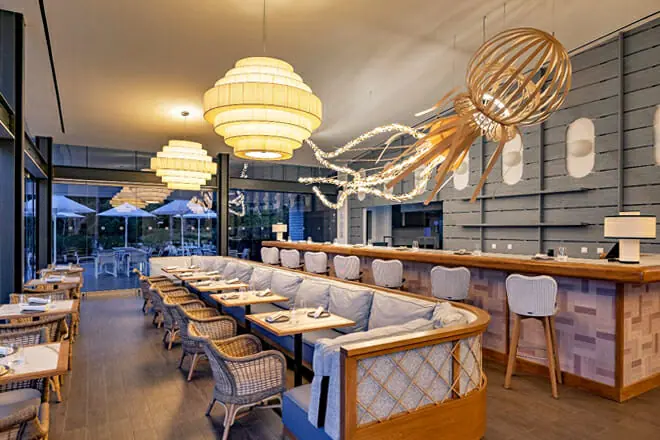 Umami