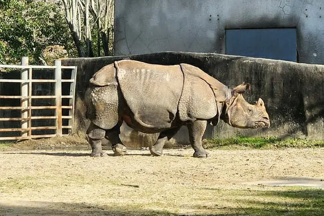 Baton Rouge Zoo
