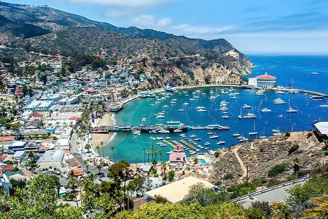 Catalina Island