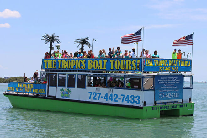 Clearwater Dolphin Exploration Tour