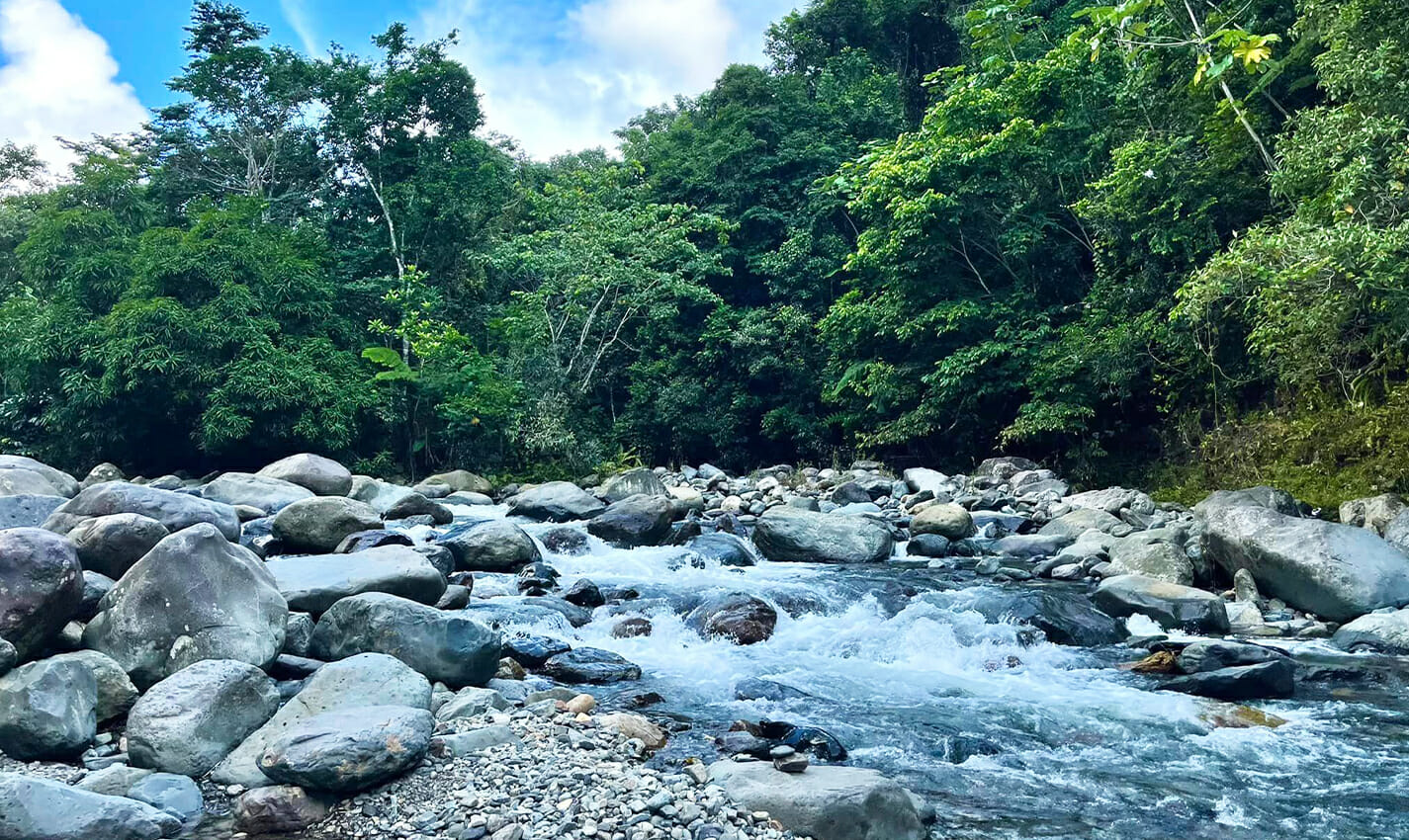 el yunque national forest travel photo