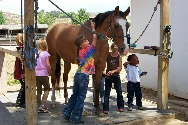 green acres ranch inc