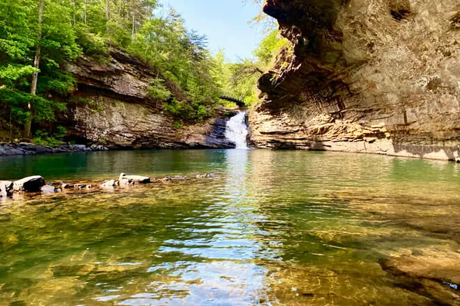 Lula Lake Land Trust