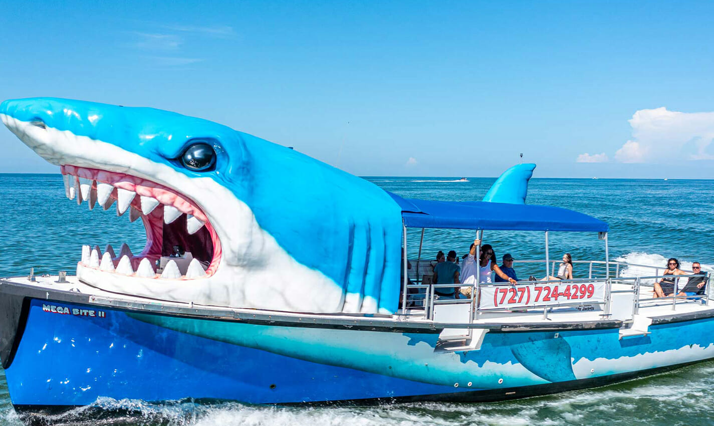 mega bite dolphin cruise travel photo